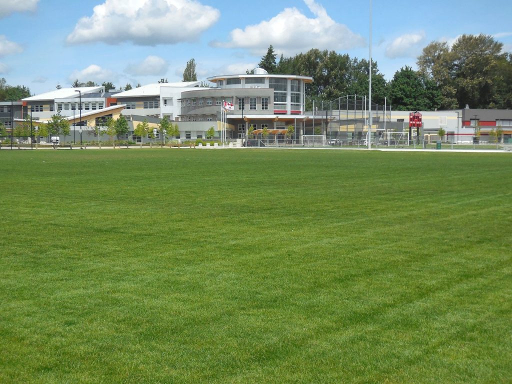 FiberLok High Performance Soil for Sports Fields and High Traffic Lawn ...