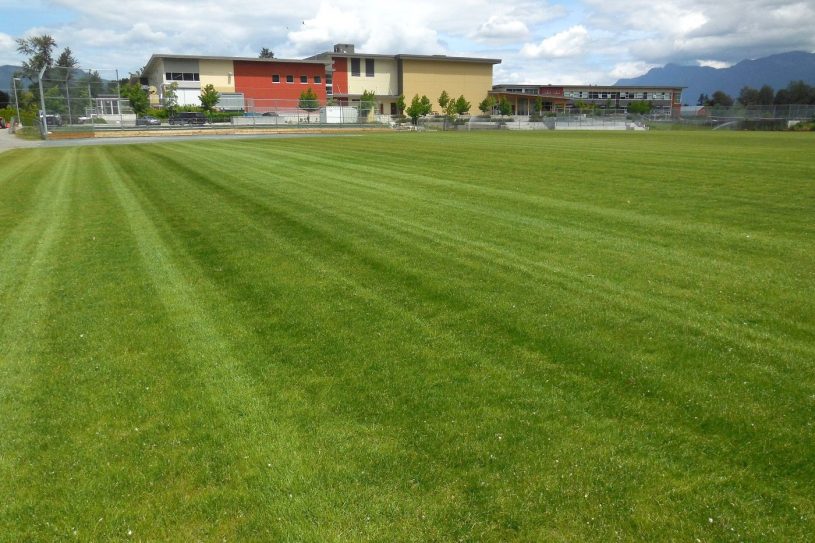 FiberLok High Performance Soil for Sports Fields and High Traffic Lawn ...