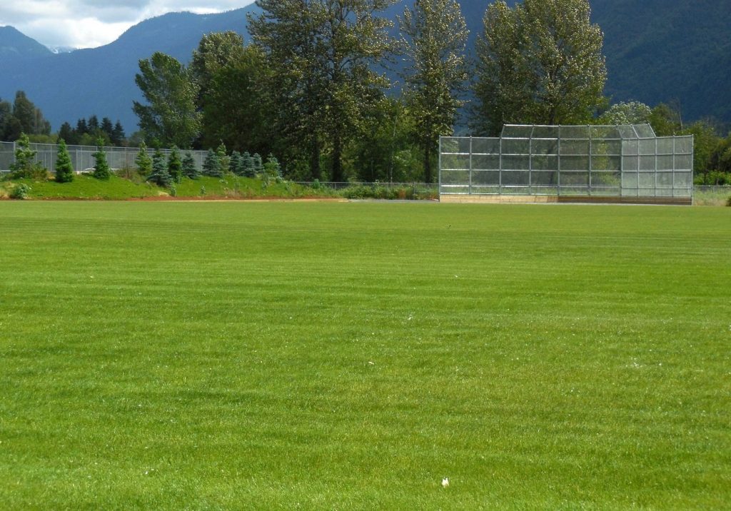 FiberLok High Performance Soil for Sports Fields and High Traffic Lawn ...