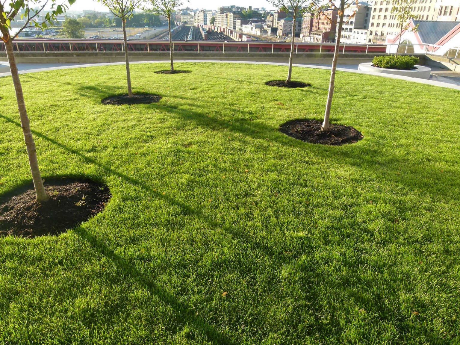 On-Slab Blend Planter Soil for Landscapes Over Structures - Veratec