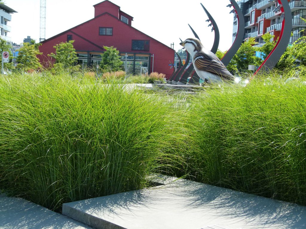 ProSoil Premium Turf and Planter Growing Media - Veratec