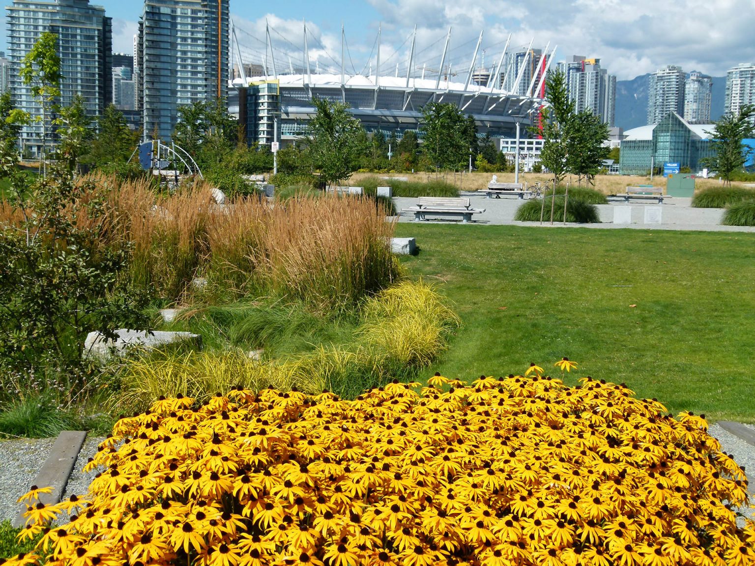 ProSoil Premium Turf and Planter Growing Media - Veratec