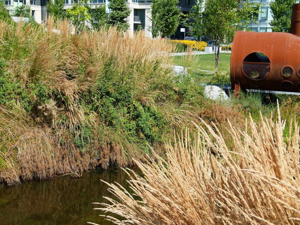 ProSoil Premium Turf and Planter Growing Media - Veratec