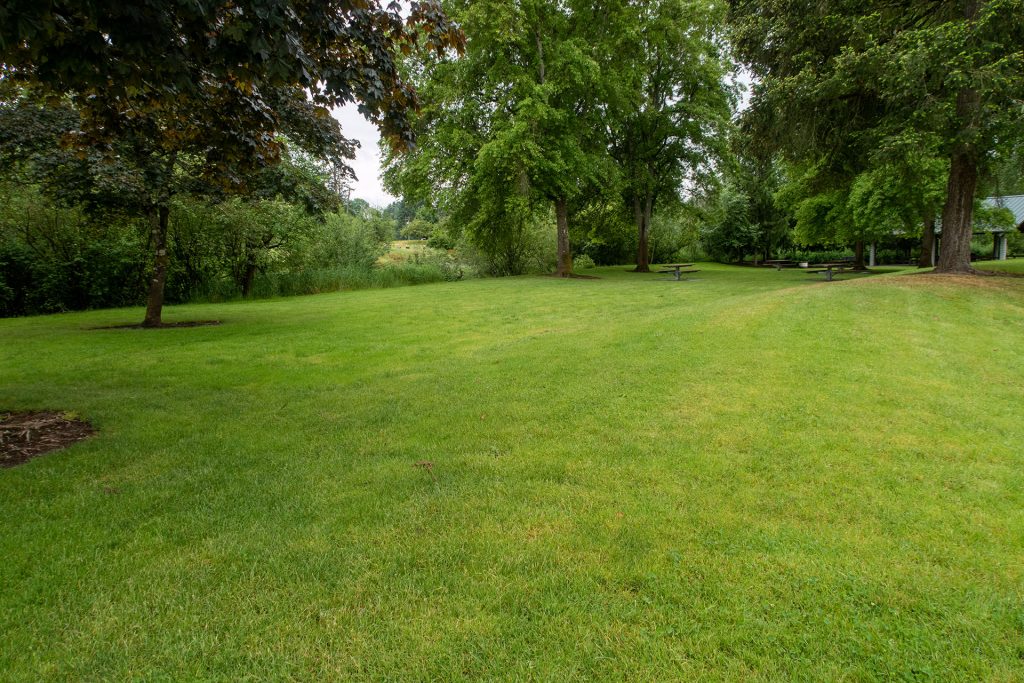 THRIVE Turf Blend Soil - Veratec