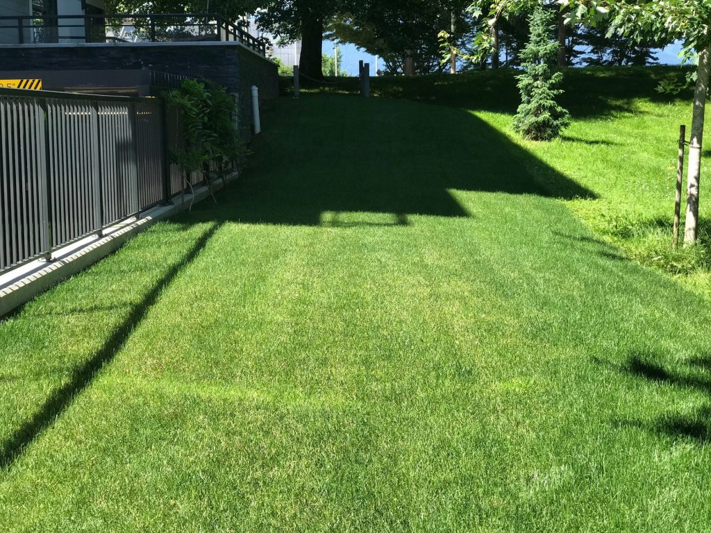 terraTURF commercial grade soil for turf - Veratec