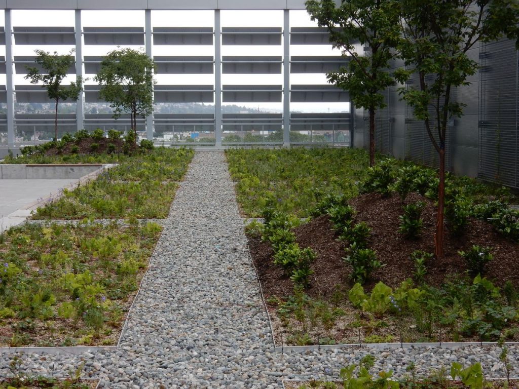 tierraLITE Green Roof Growing Media - Veratec